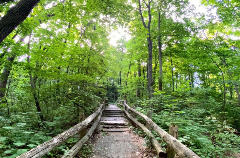 Jacobus Park - Things to Do - Wauwatosa